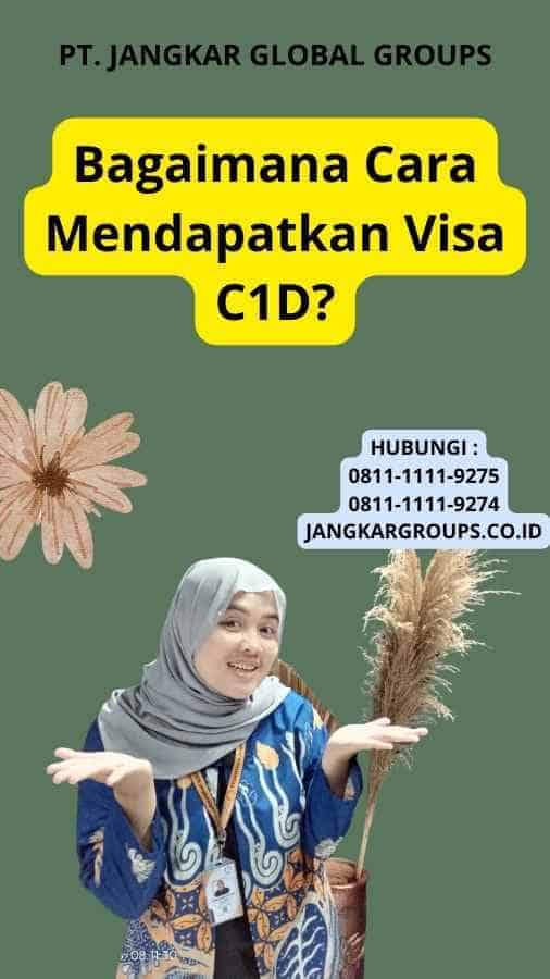Layanan Visa C1D untuk Perjalanan Liburan – Jangkar Global Groups