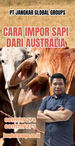 Cara Impor Sapi Dari Australia – Jangkar Global Groups